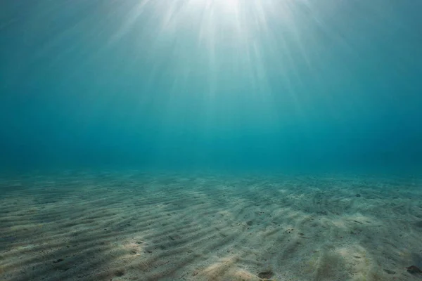 Sand underwater Stock Photos, Royalty Free Sand underwater Images ...