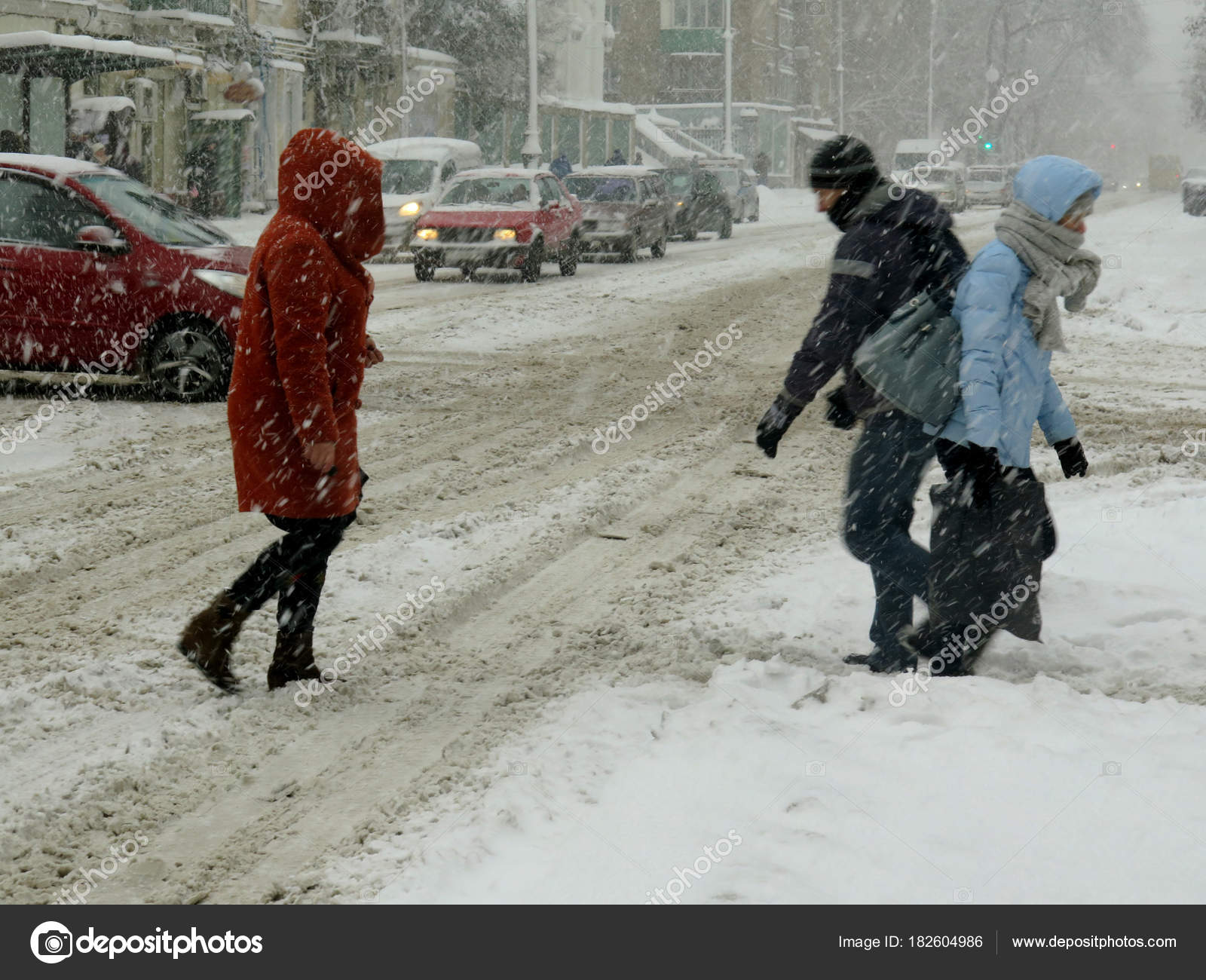 Natural Disasters Blizzards