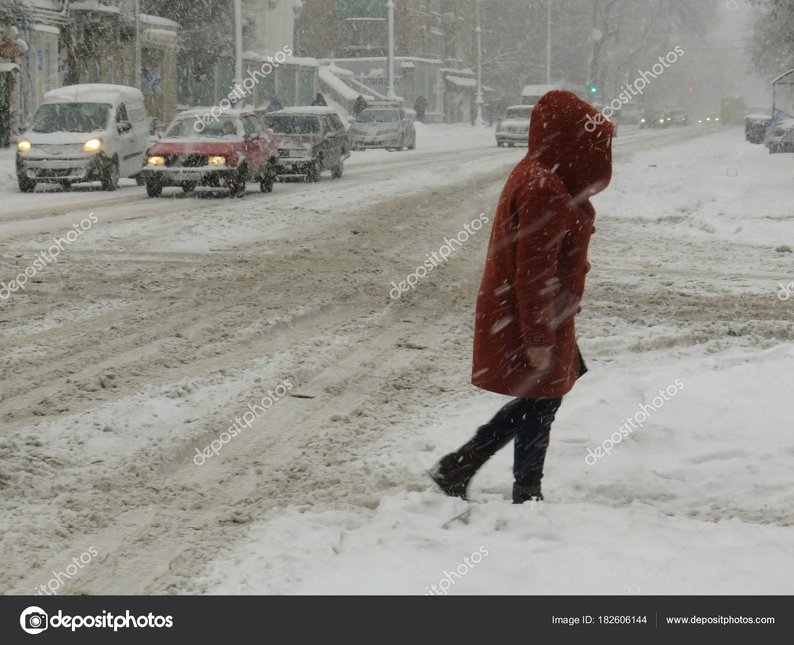 Natural Disasters Blizzards