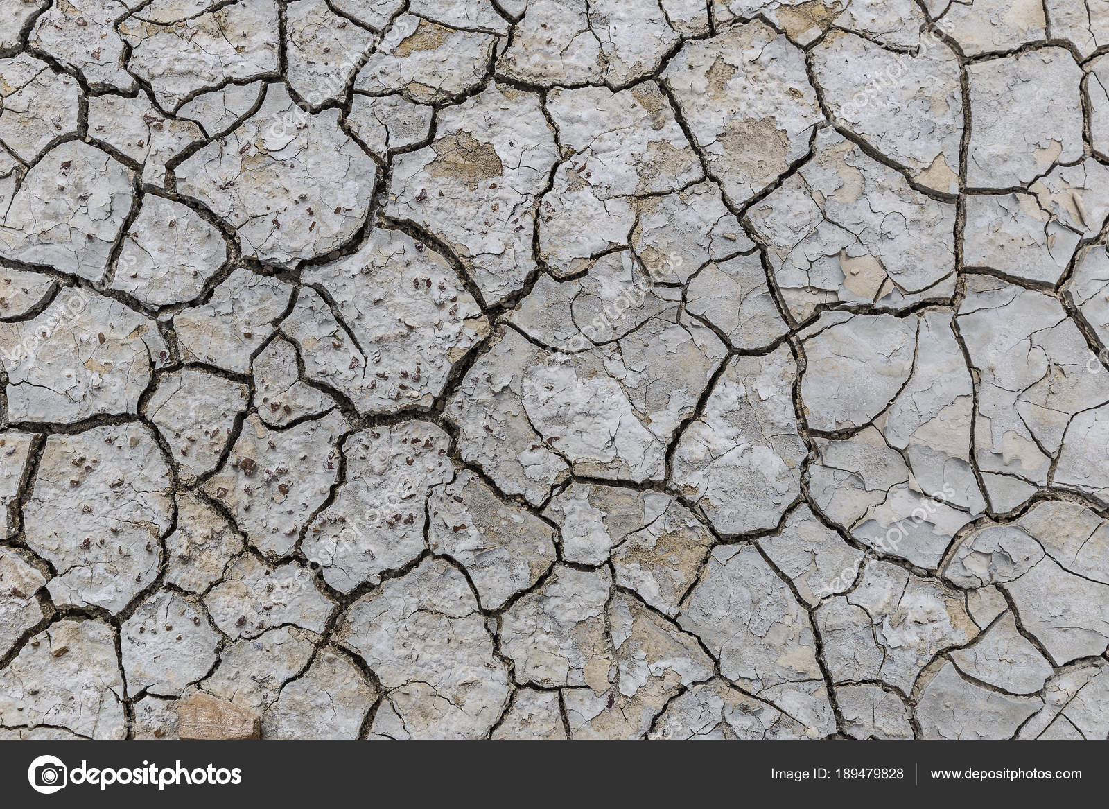 Dry Mud Texture