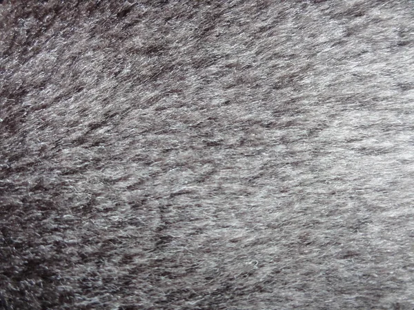 Faux grey fur texture for background or decoration - Stock Image ...