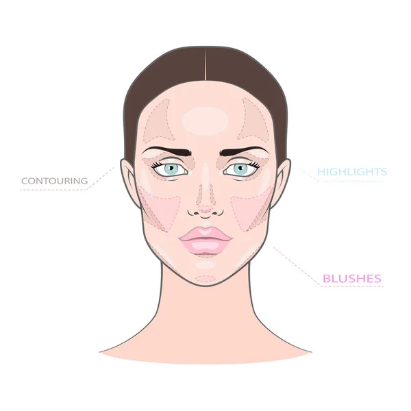 7,332 Face chart Vector Images | Depositphotos