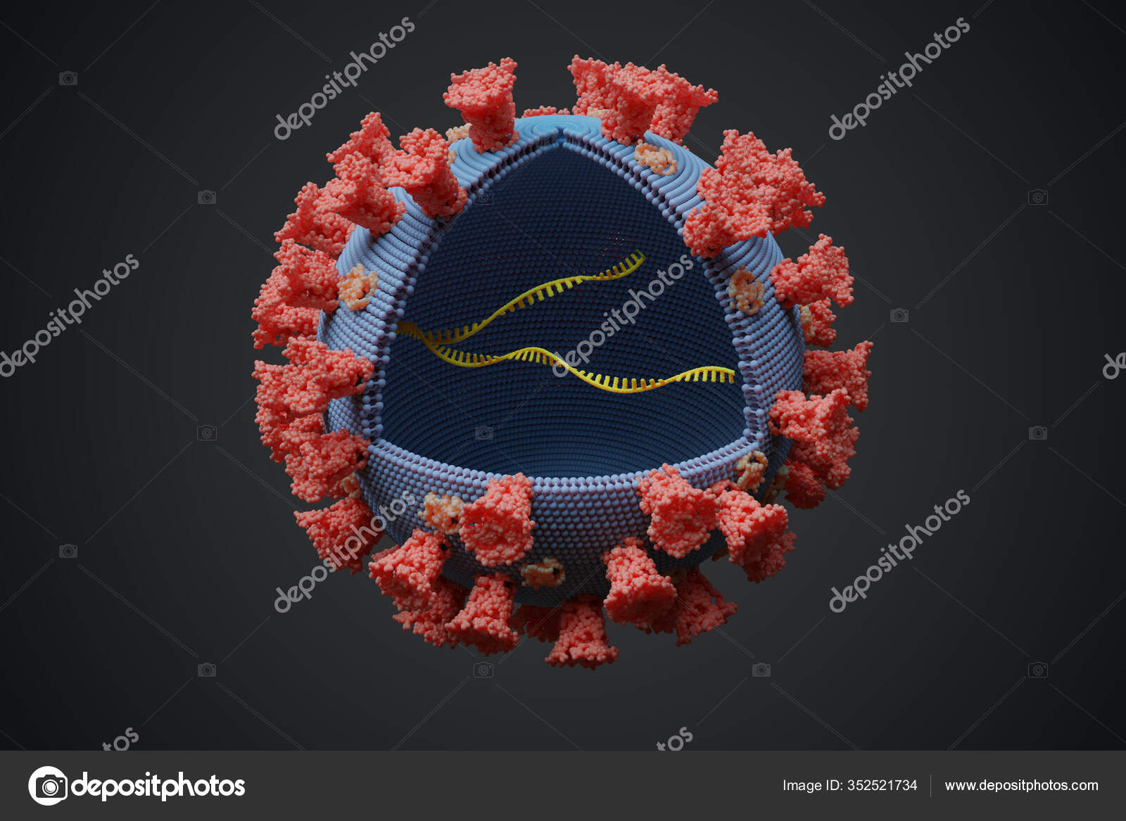 Virus Con Molécula Arn Dentro Concepto Infección Ilustración ...