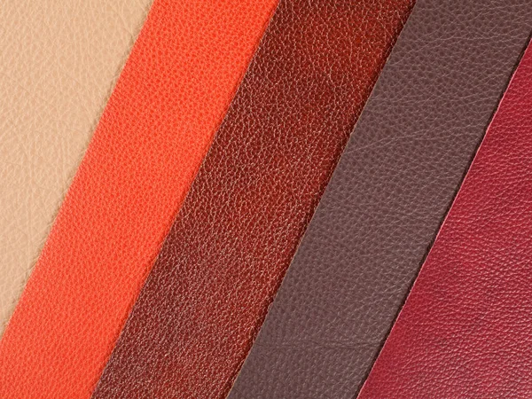 Diferentes Muestras Texturas Cuero Natural Colores Sobre Fondo Cuero ...