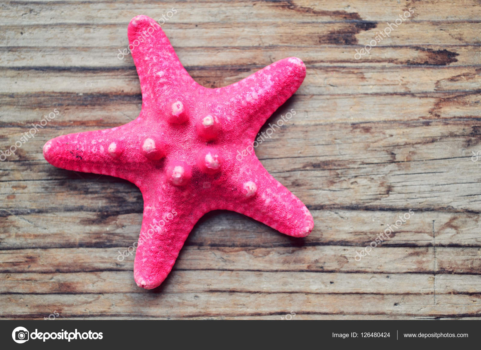 Pink Starfish