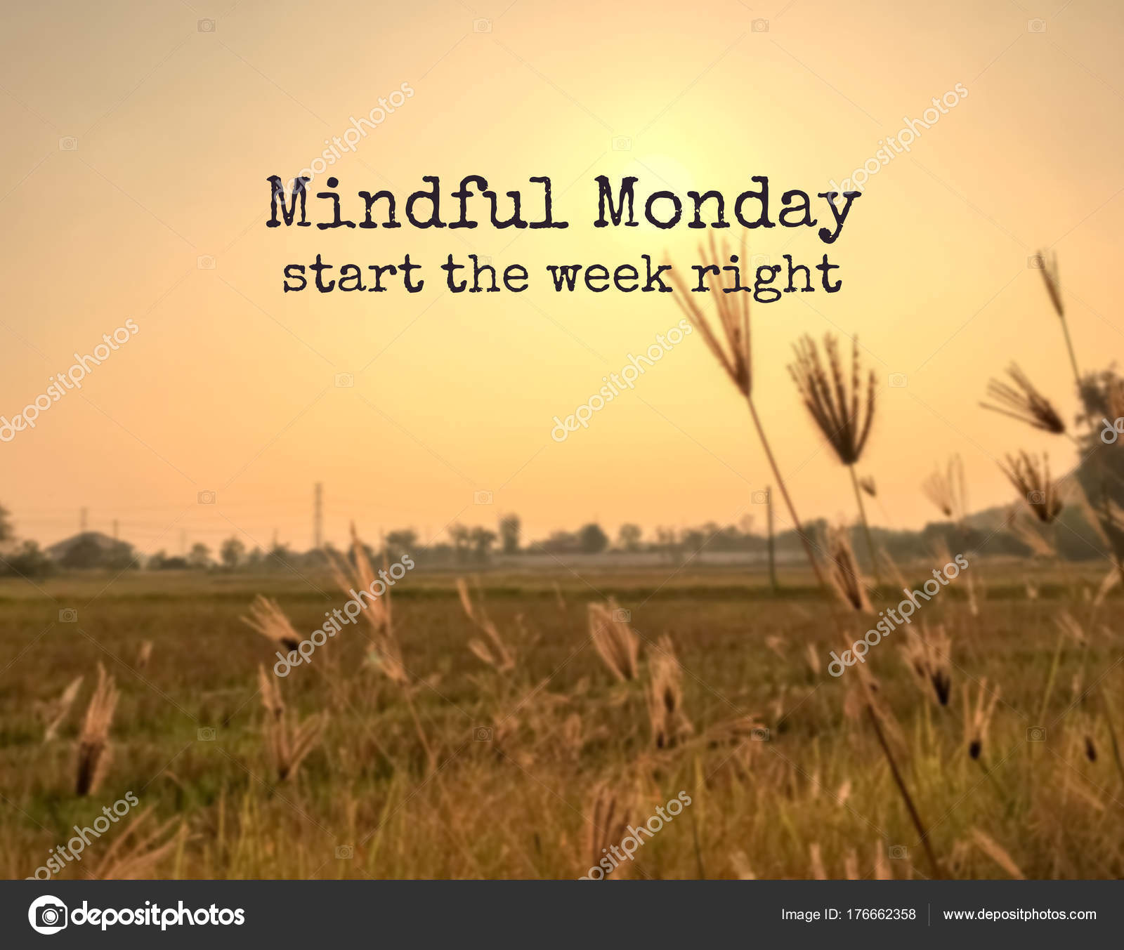 Inspirational Quote Motivational Background Mindful Monday Start Week ...