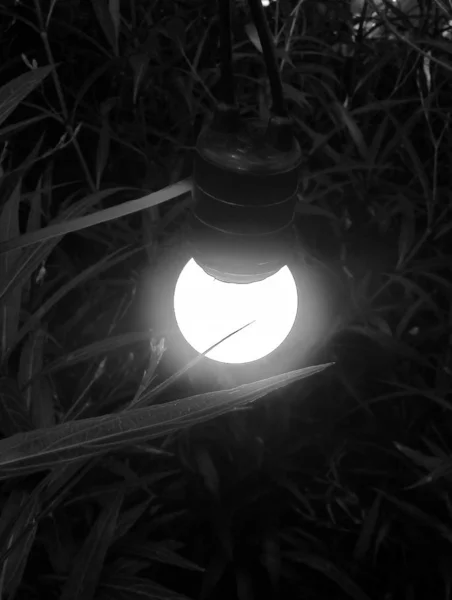 Light in the dark with noise effect style. Festival decoration also ...