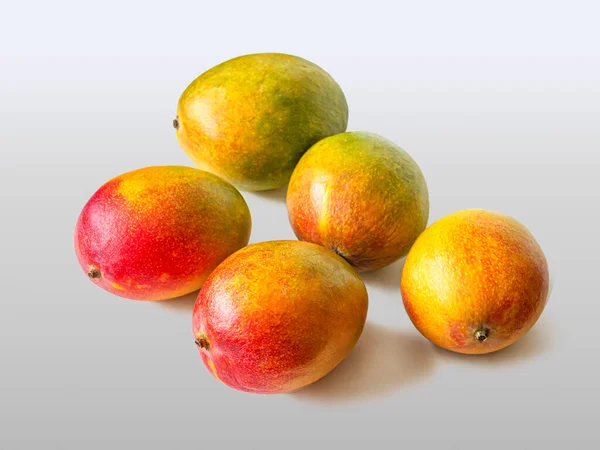 Frutos maduros de mango exótico, procedentes de los trópicos del ...