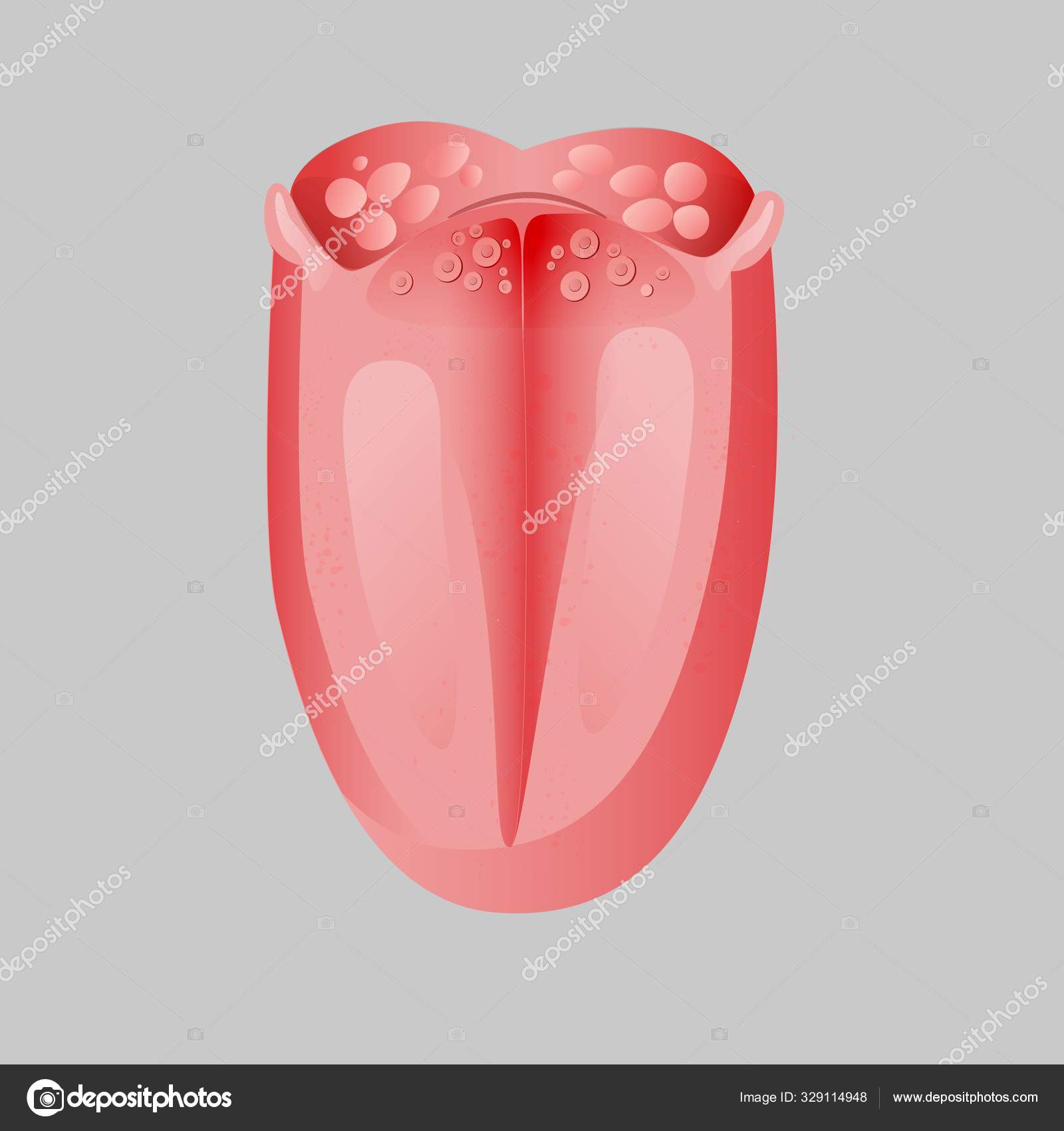 Human realistic tongue icon isolated on white background vector graphic ...