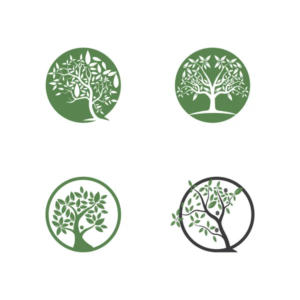 100,000 Circle tree logo Vector Images | Depositphotos