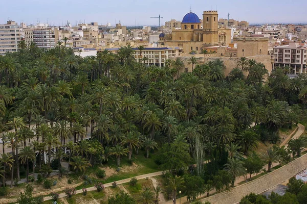 Palmeral de eche Stock Photos, Royalty Free Palmeral de eche Images ...