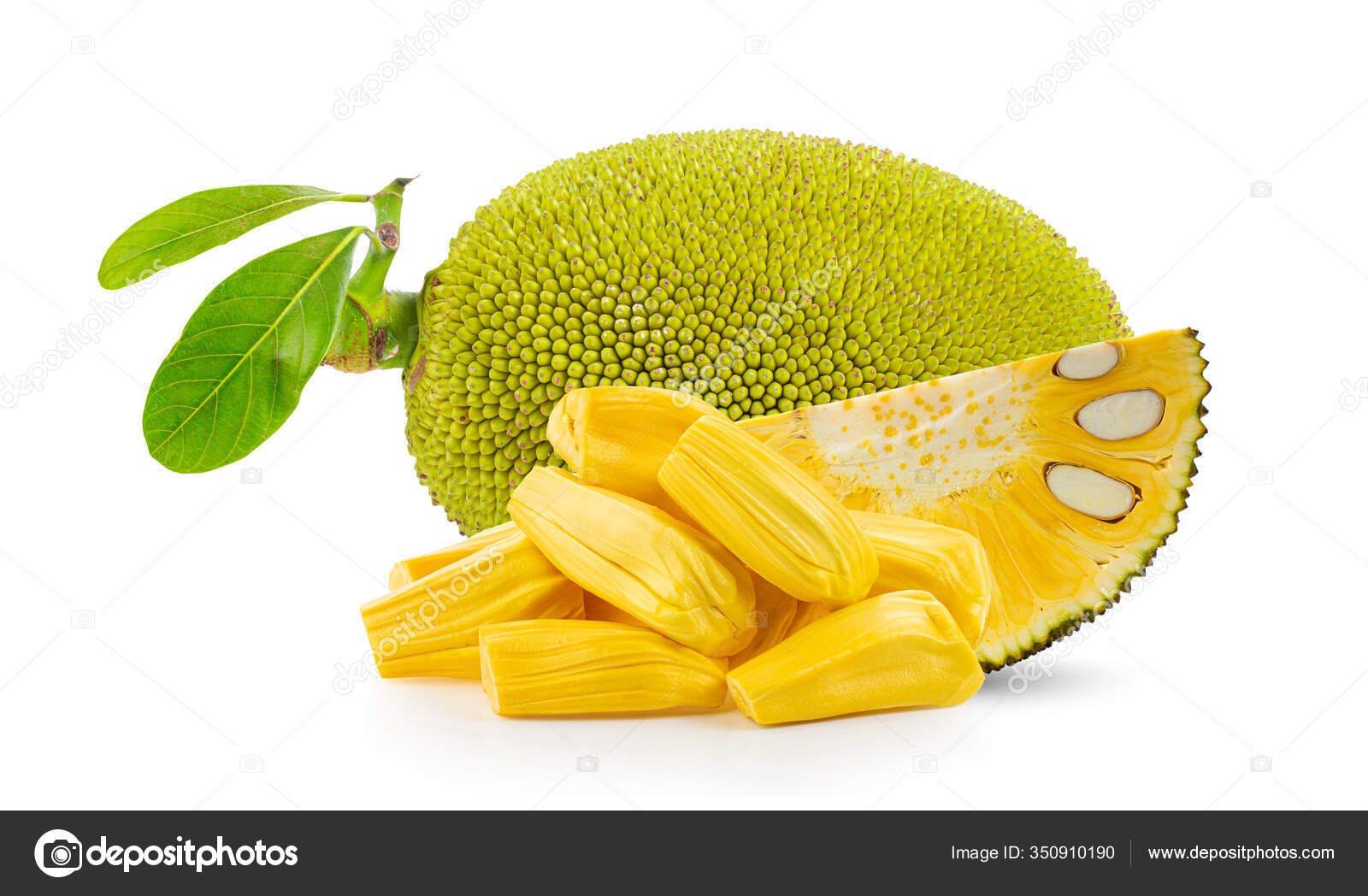 Jackfruit Isolated White Background Stock Photo by ©supams 350910190