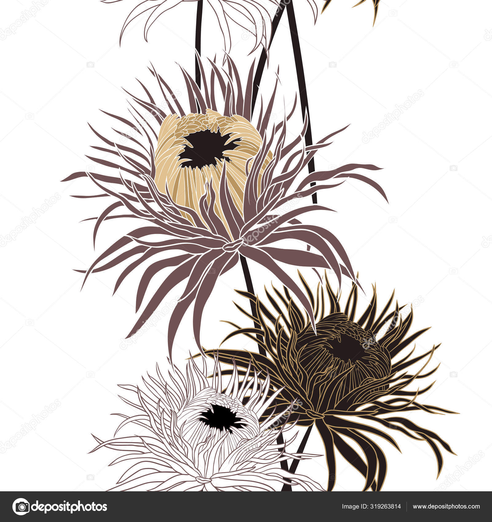 Seamless Border Pattern Inflorescences Onions White Background Hand ...