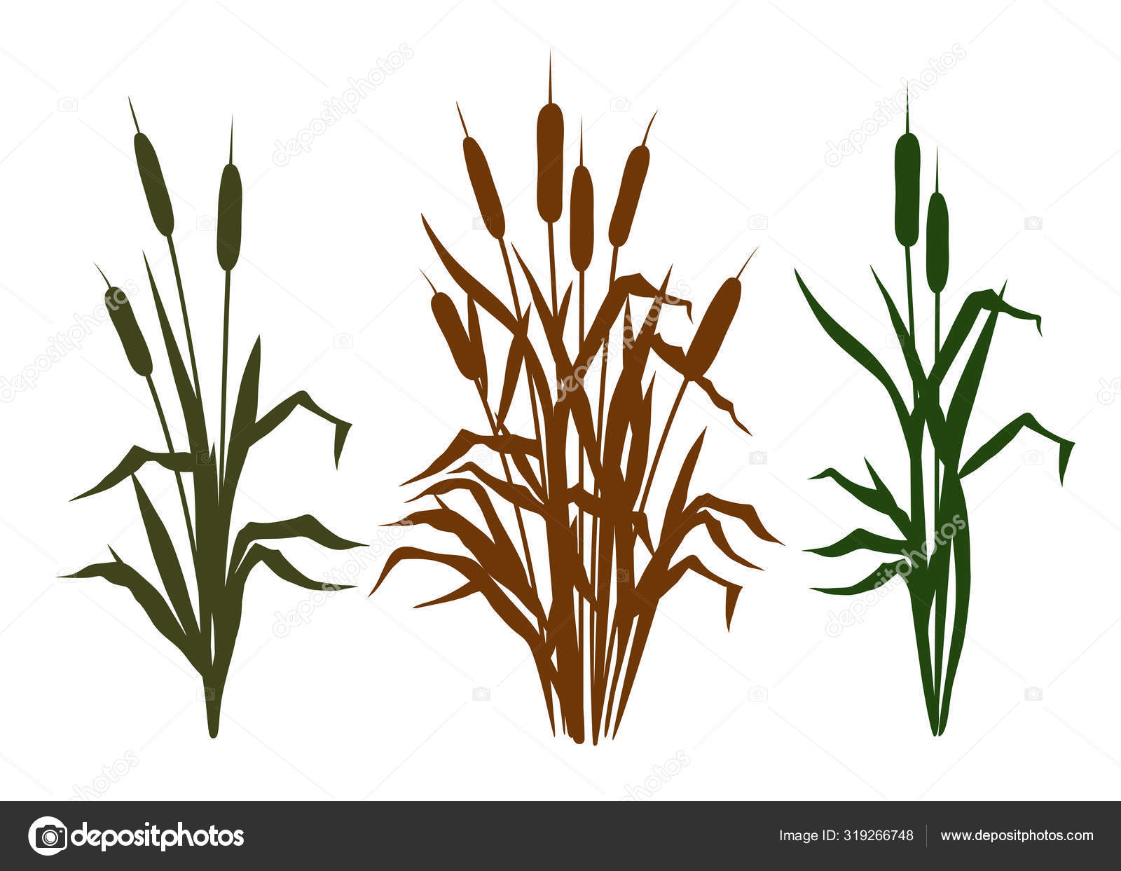 Collection Diverse Silhouettes Bulrush Clipart Vector Templates Various ...