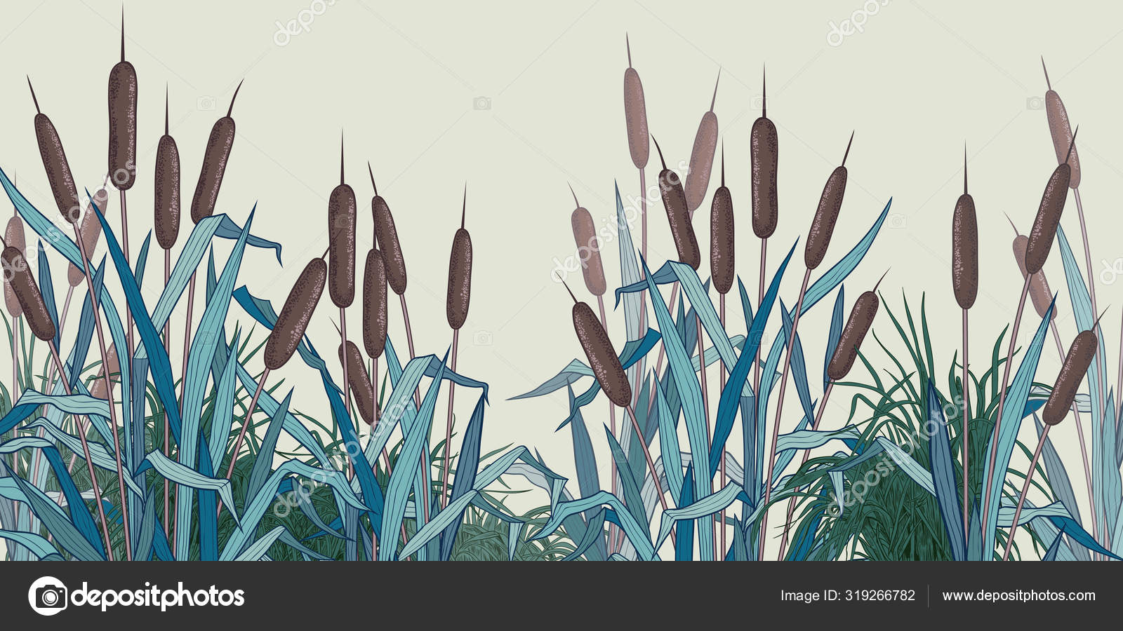 Cattails To Color