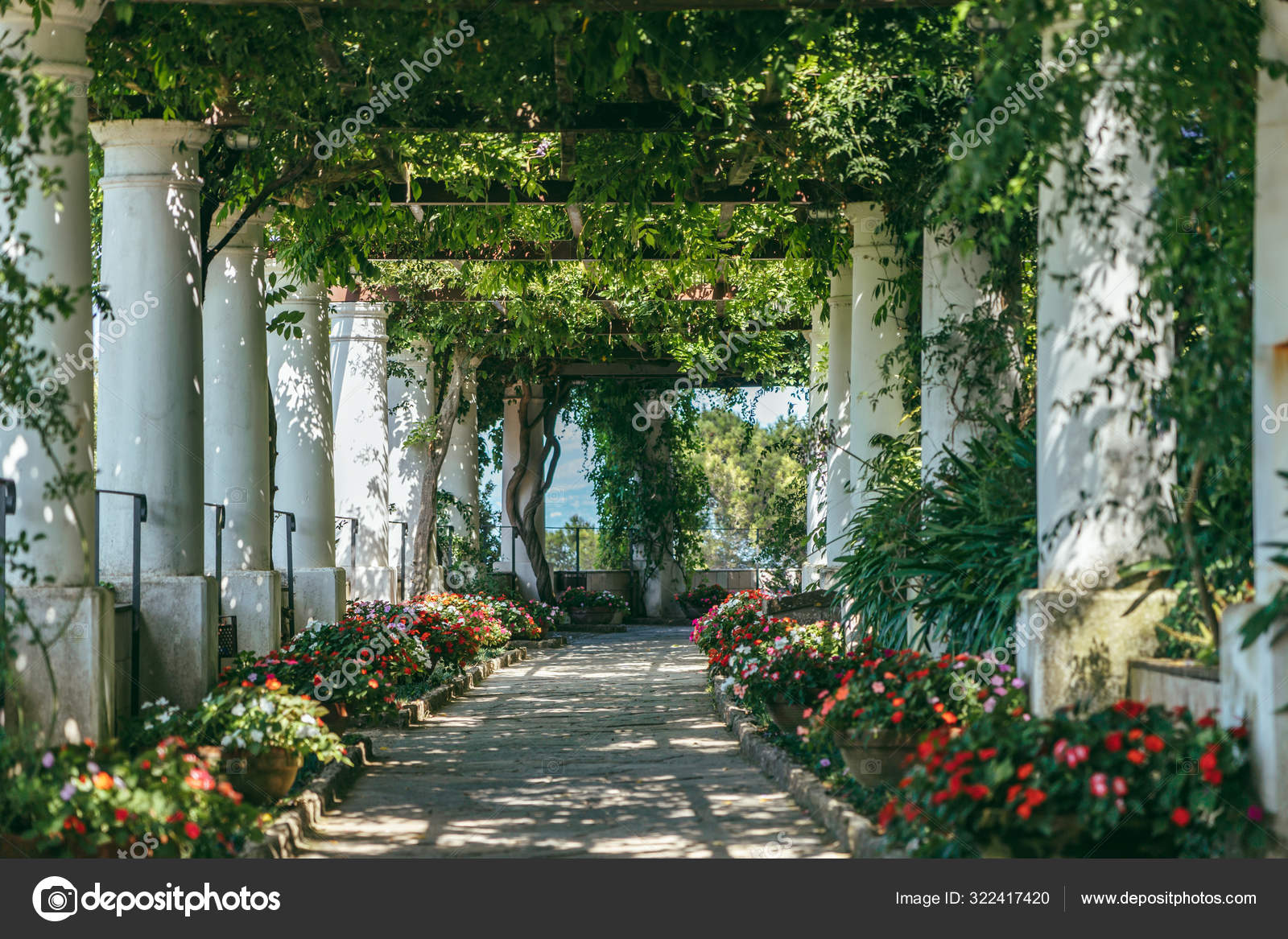 Beautiful floral passage with columns and plants overhead in garden in ...