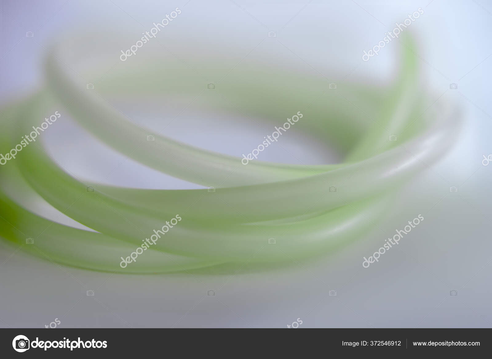 Isolated White Background Medical Rubber Tube — Stock Photo ...