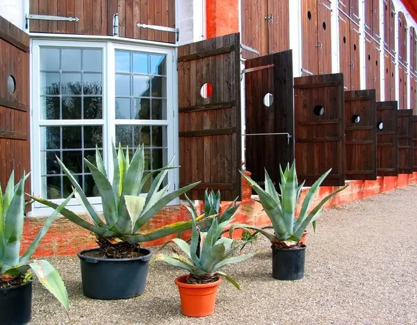 Iff Pictures, Iff Stock Photos & Images | Depositphotos®