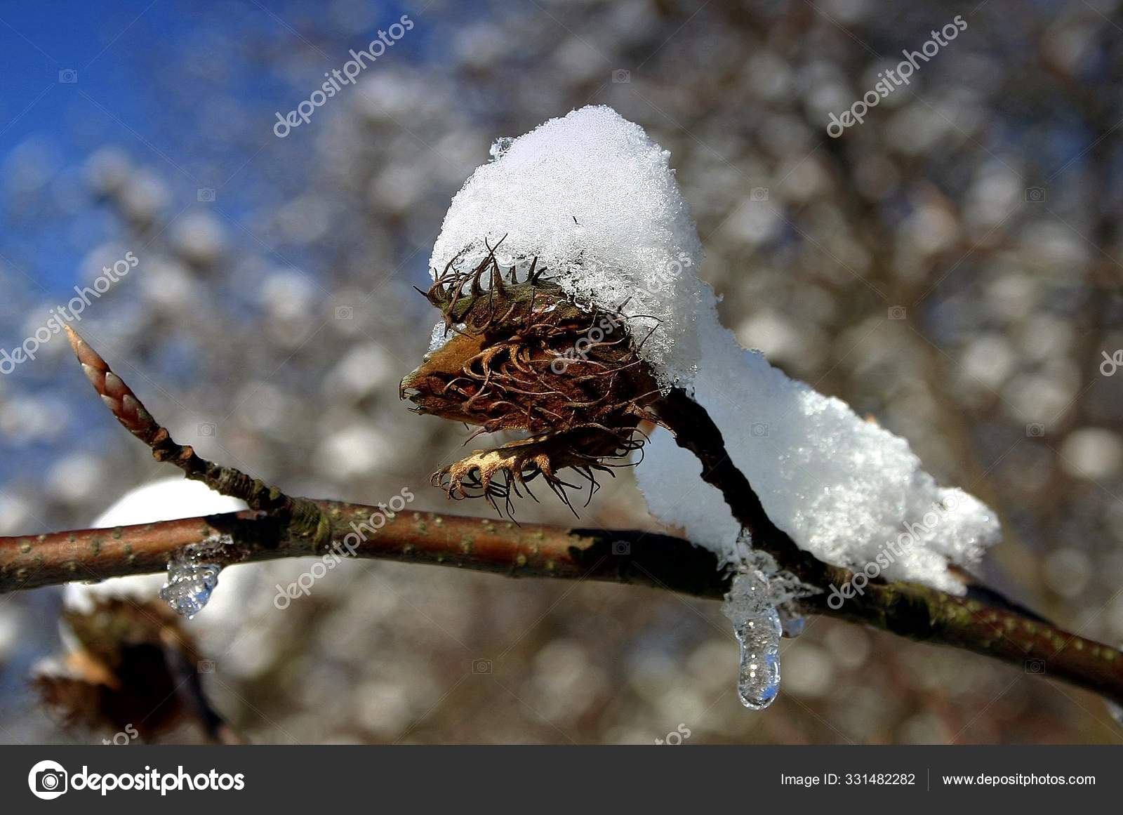 Please Look Picture Full View Nin Heat Today Wanted Something Stock ...