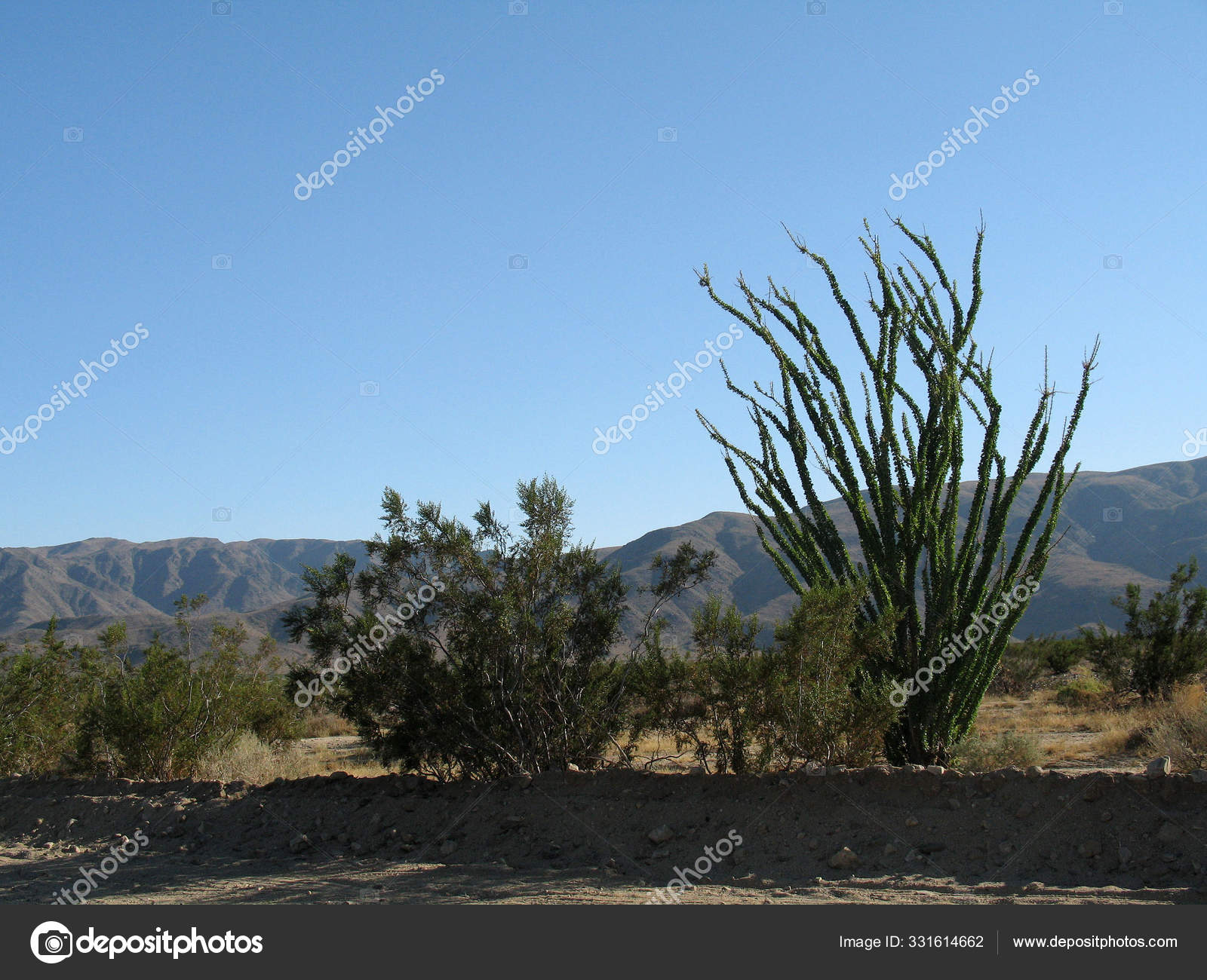 Whole Series Uses Polarizing Filter — Stock Photo © PantherMediaSeller ...