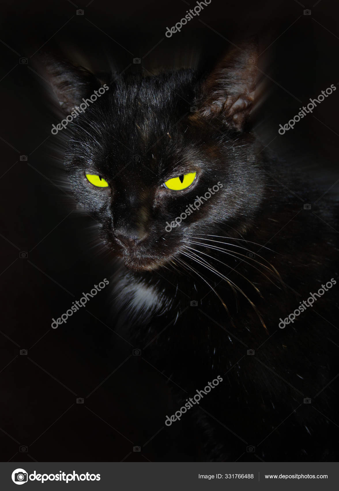 Leave Stone Unturned — Stock Photo © PantherMediaSeller #331766488