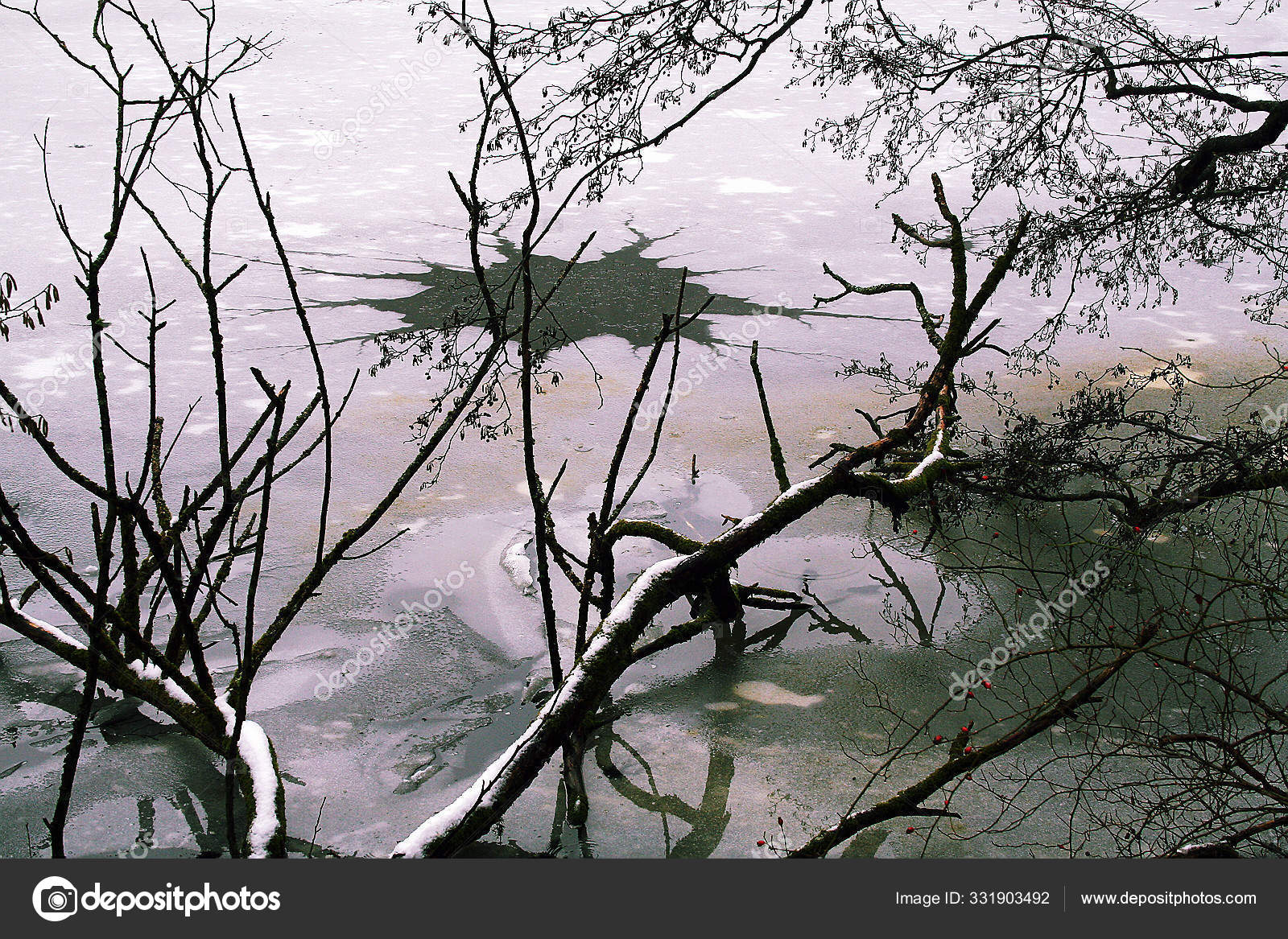 Beautiful View Nature Scene — Stock Photo © PantherMediaSeller #331903492