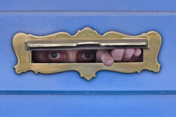 Spies Stock Photos, Royalty Free Spies Images | Depositphotos