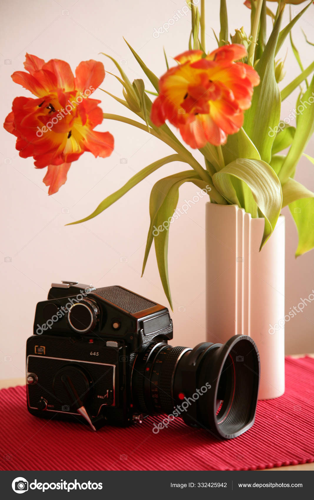 Vintage Photo Camera Flowers — Stock Photo © PantherMediaSeller #332425942