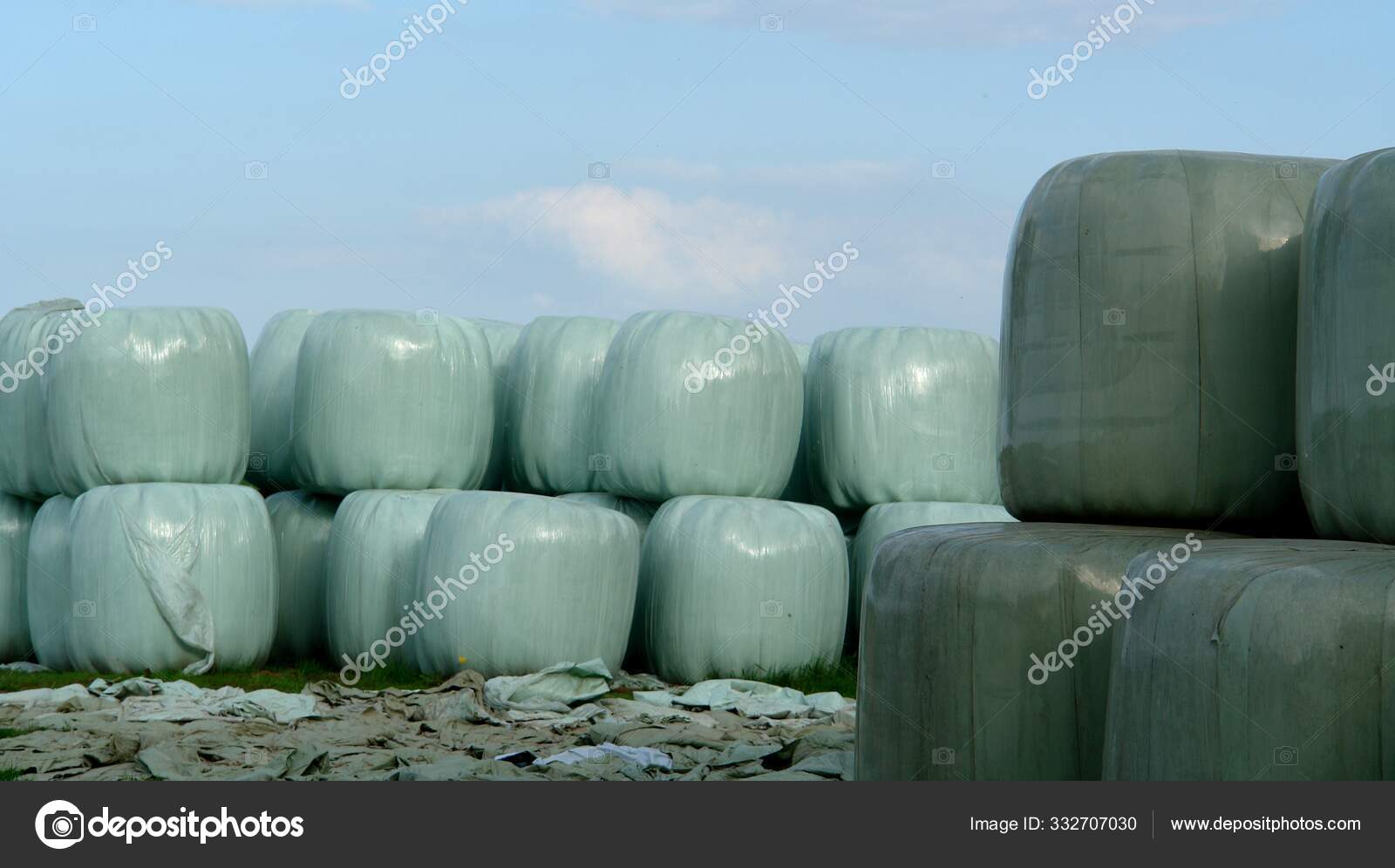 Silage Nis Conserved Fermentation Quality Forage Here Water Containing ...