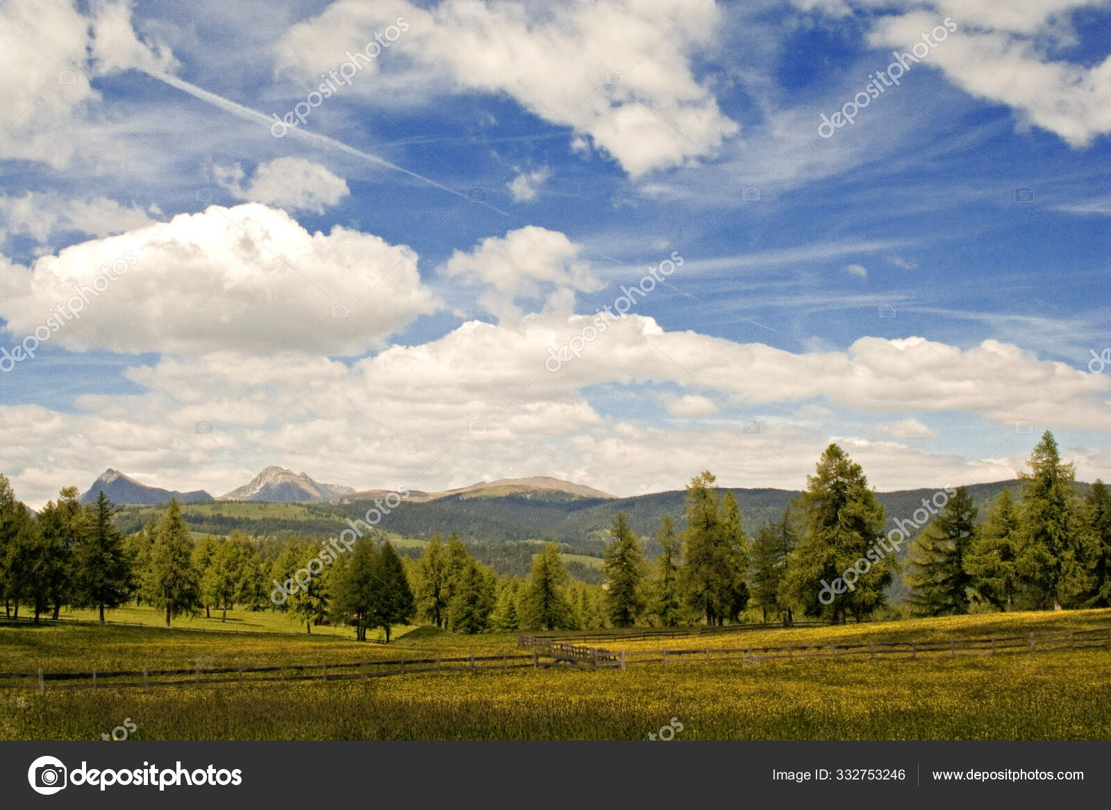 Meadow Open Habitat Field Vegetated Grass Herbs Other Non Woody — Stock ...