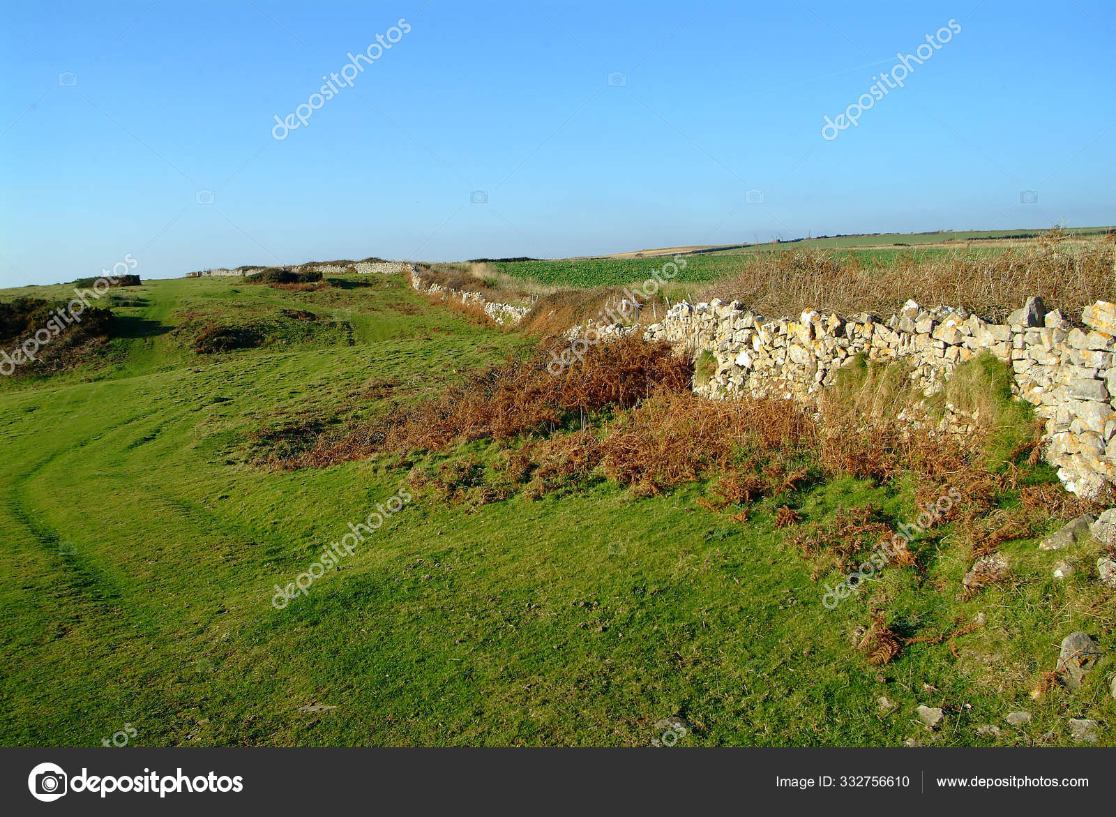 Meadow Open Habitat Field Vegetated Grass Herbs Other Non Woody — Stock ...