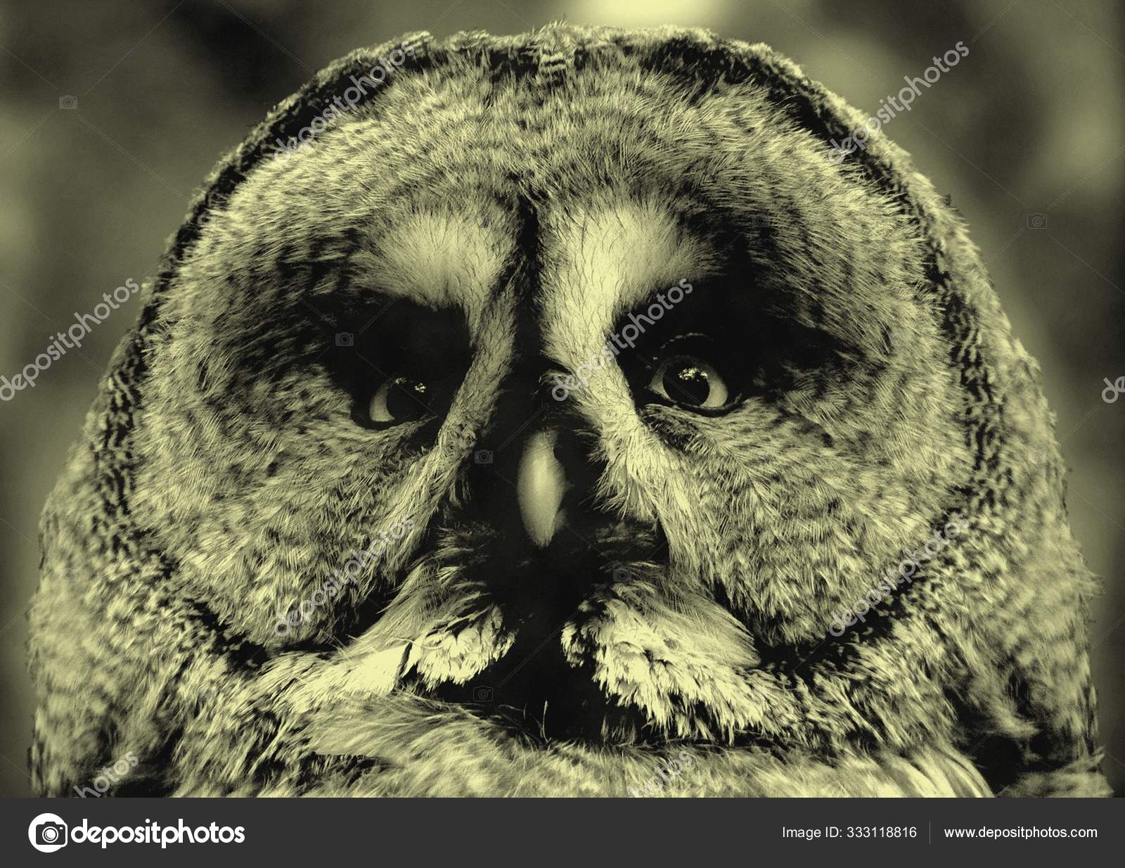 Different Animals Selective Focus — Stock Photo © PantherMediaSeller ...