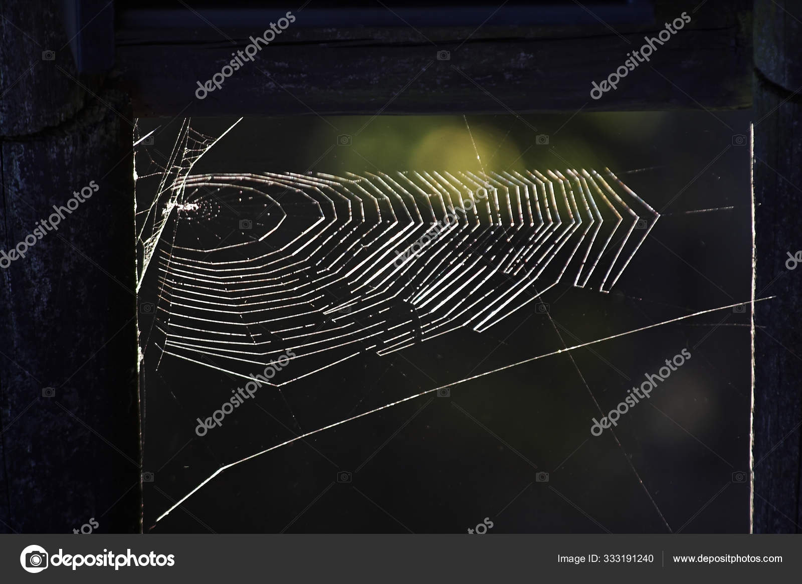 Spider Cobweb Trap Insect Stock Photo by ©PantherMediaSeller 333191240