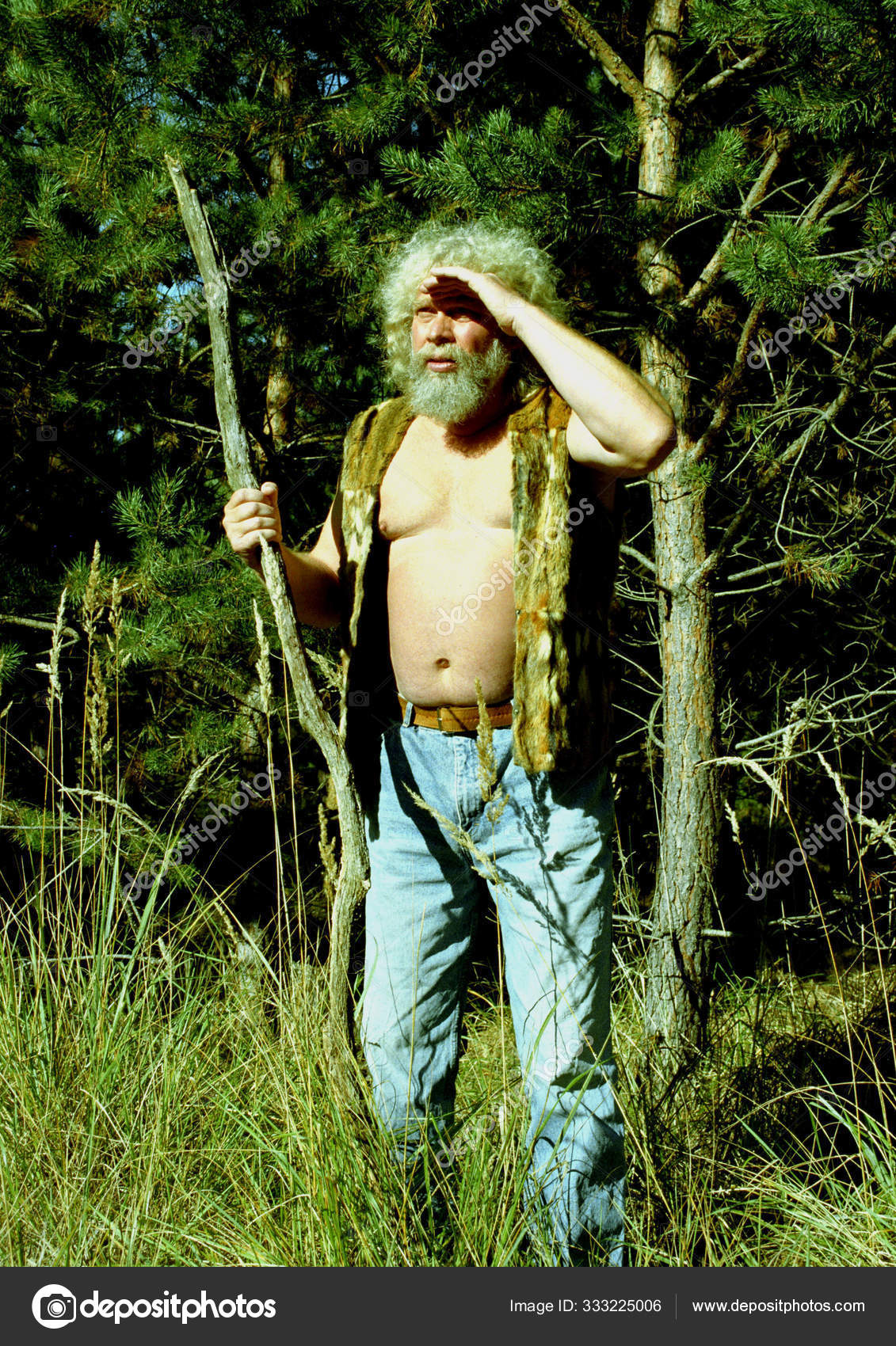 Primitive Types Forest Stock Photo by ©PantherMediaSeller 333225006