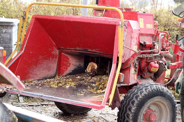 Chaffs Pictures, Chaffs Stock Photos & Images | Depositphotos®