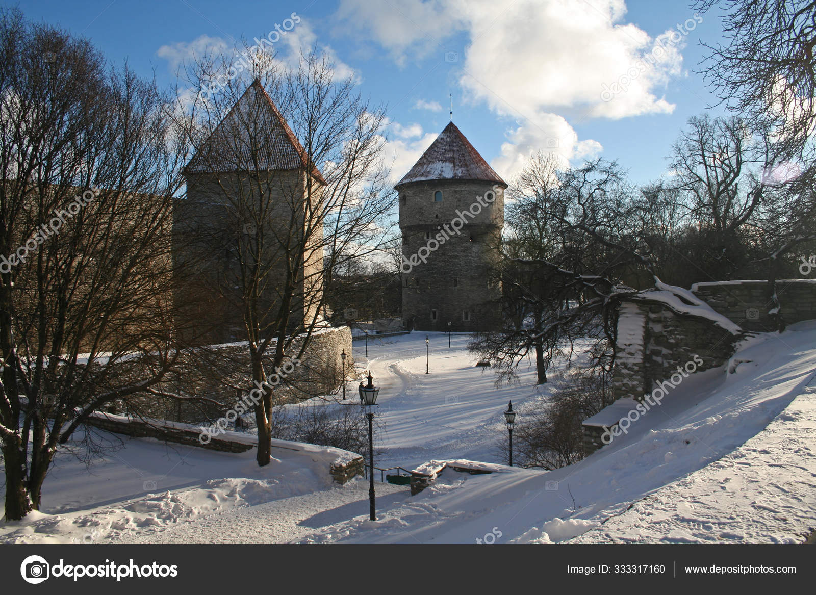 Winter Maiden Medieval