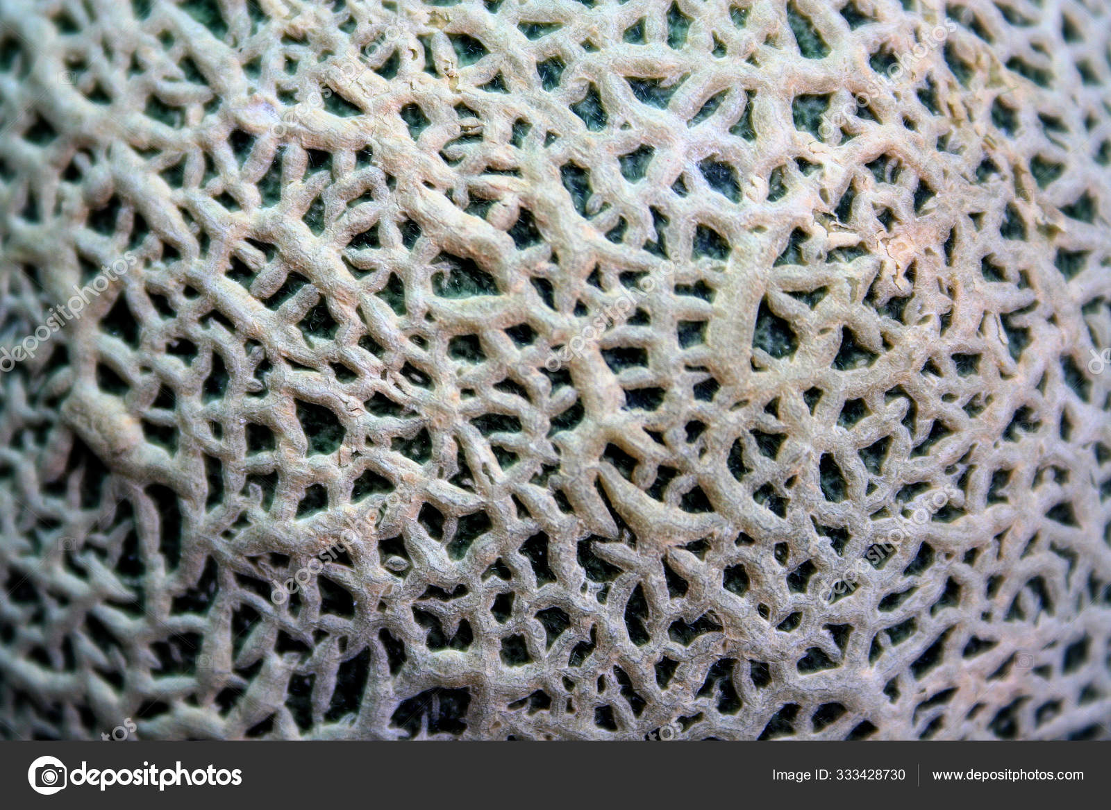 Old Wicker Background Texture Stock Photo by ©PantherMediaSeller 333428730