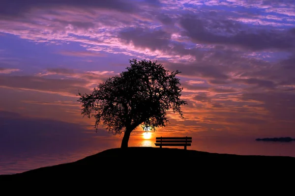 Beautiful solitude Stock Photos, Royalty Free Beautiful solitude Images ...