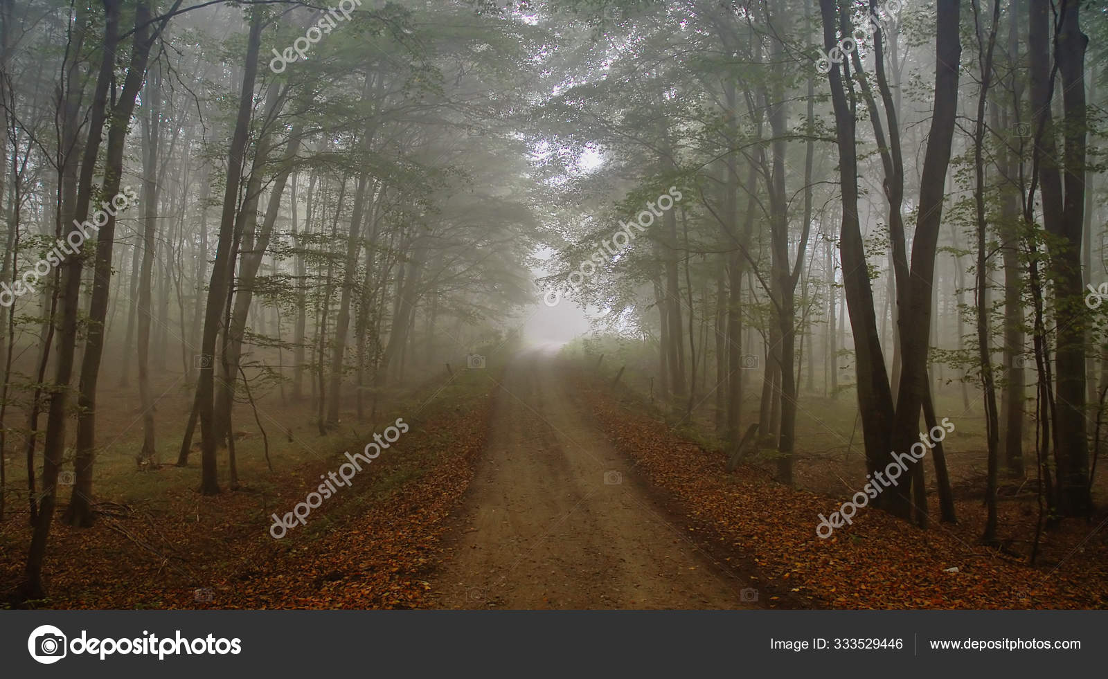 Means Fall Already Looks Whole Weekend Therefore Also Few Older Stock ...