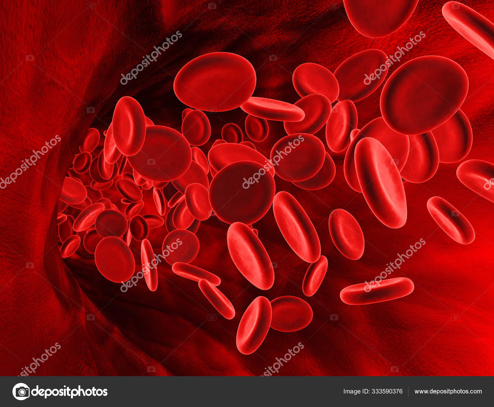 Microscopic Red Blood Cells Stock Photo by ©PantherMediaSeller 333590376