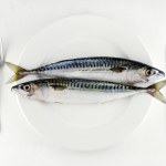 Two Mackerel White Plate Knife Fork Stock Photo by ©YAYImages 262609790