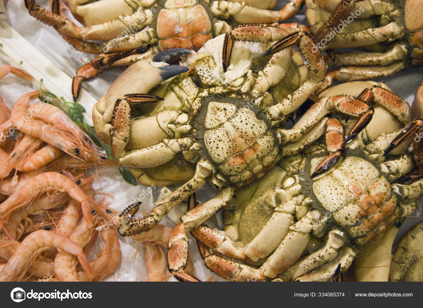 Crabs Sale Supermarket Fish Counter Stock Photo by ©PantherMediaSeller ...