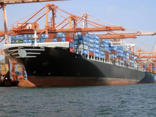 Msc reefer container Stock Photos, Royalty Free Msc reefer container ...