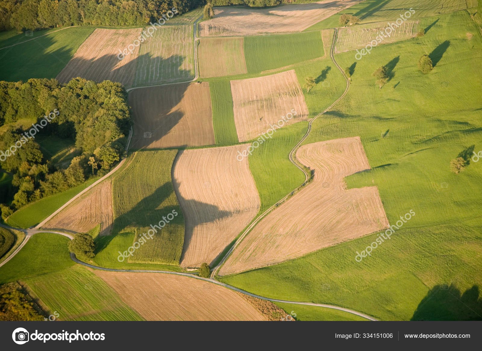 Meadow Open Habitat Field Vegetated Grass Herbs Other Non Woody — Stock ...