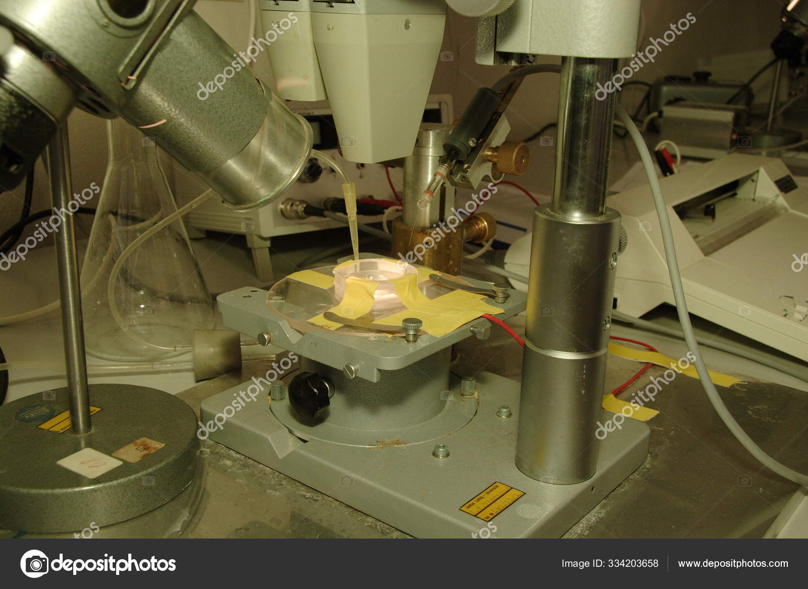 Measuring Membrane Potential Stock Photo by ©PantherMediaSeller 334203658