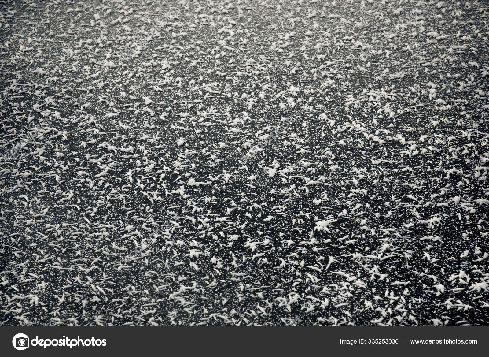 Grey Texture Background Surface Stock Photo by ©PantherMediaSeller ...