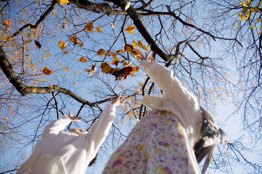 Niños japoneses tratando de tocar la rama del árbol 2023