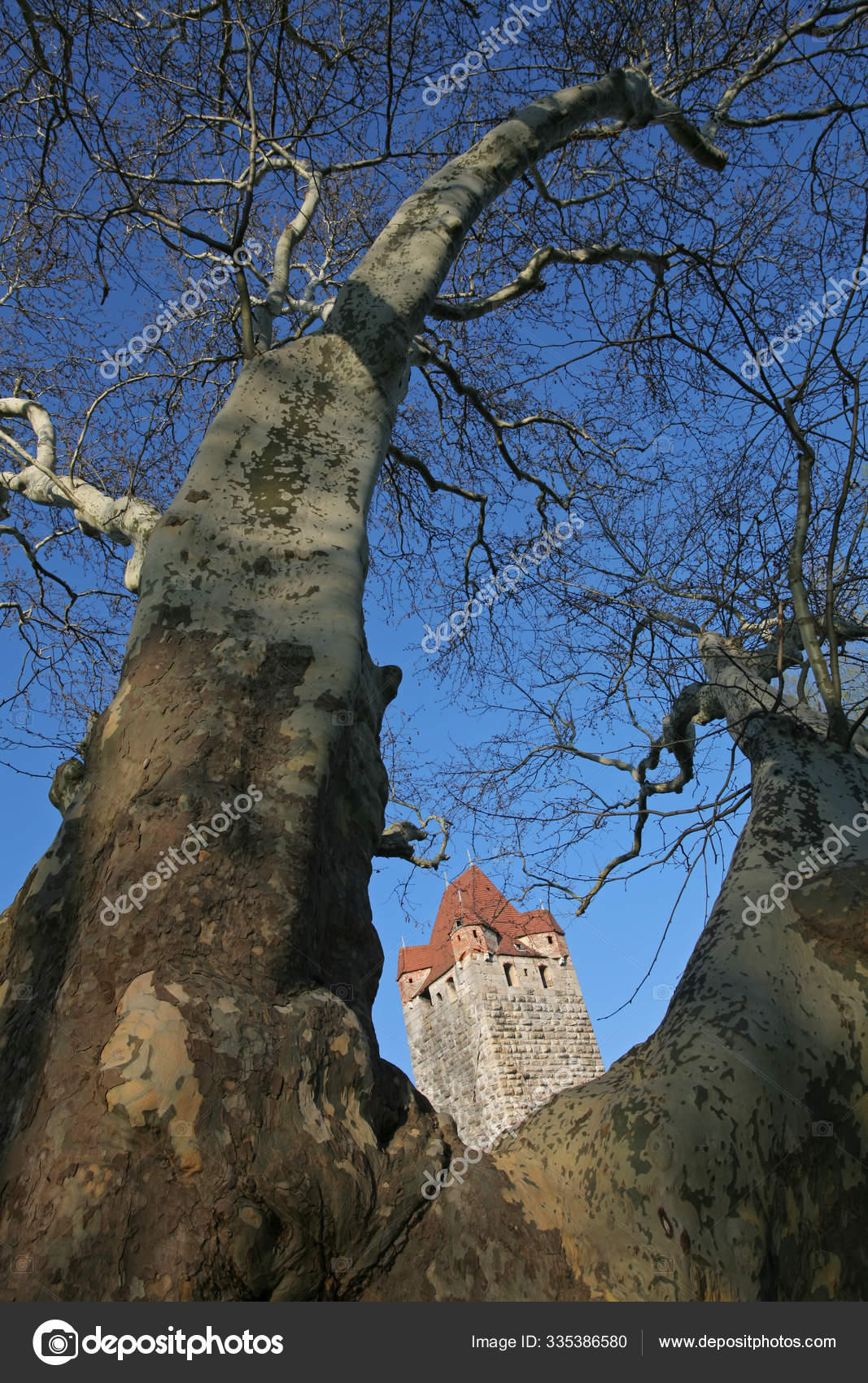 Castle Ruins Park Tree — Stock Photo © PantherMediaSeller #335386580