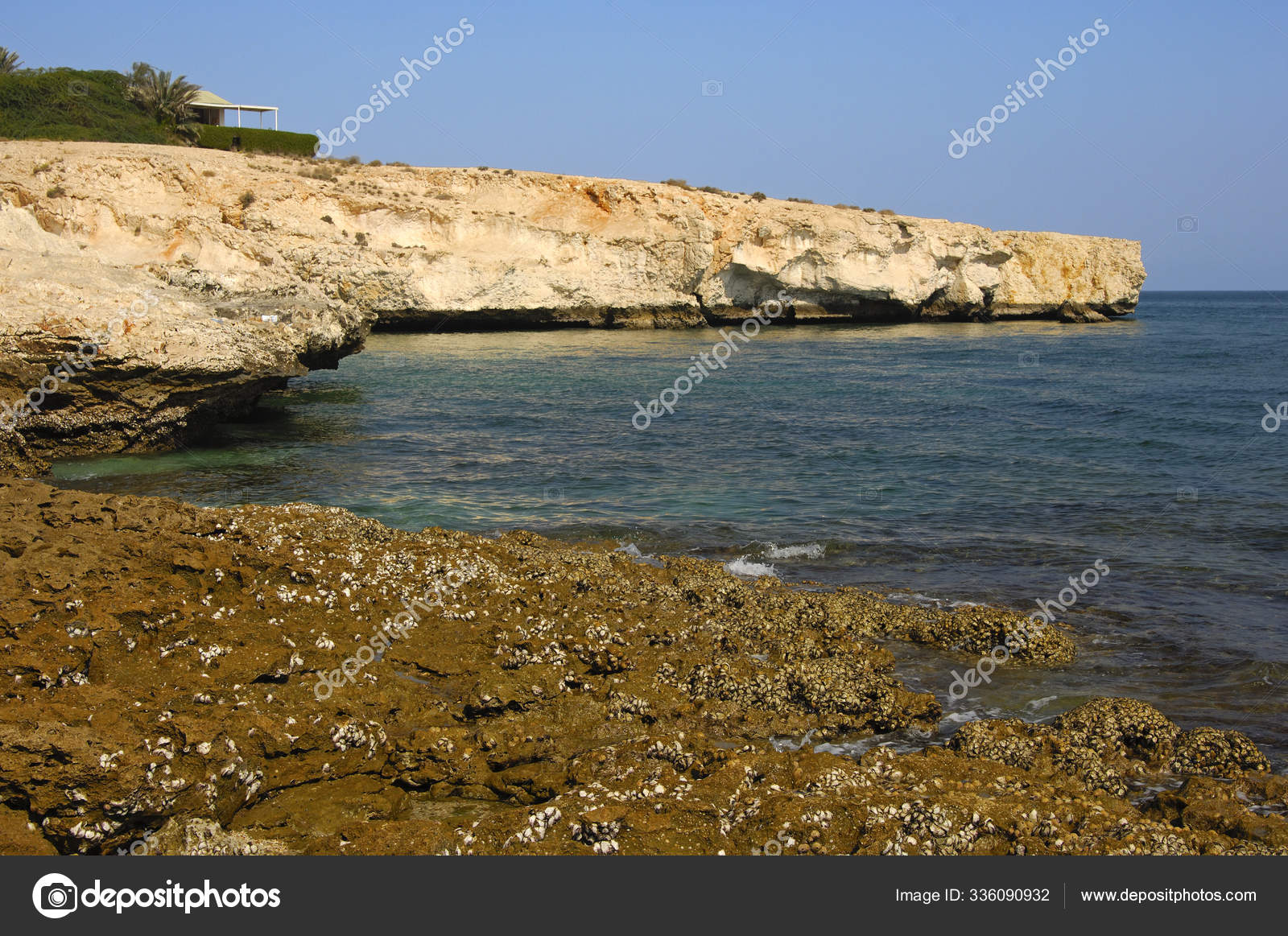 Cliffs Made Limestone Gulf Oman Sultanate Oman Stock Photo by ...
