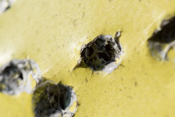 Bullet holes and hits on the target during sport with bow and arrow ...